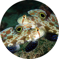 Home - Cathy Church Photo Centre and Gallery